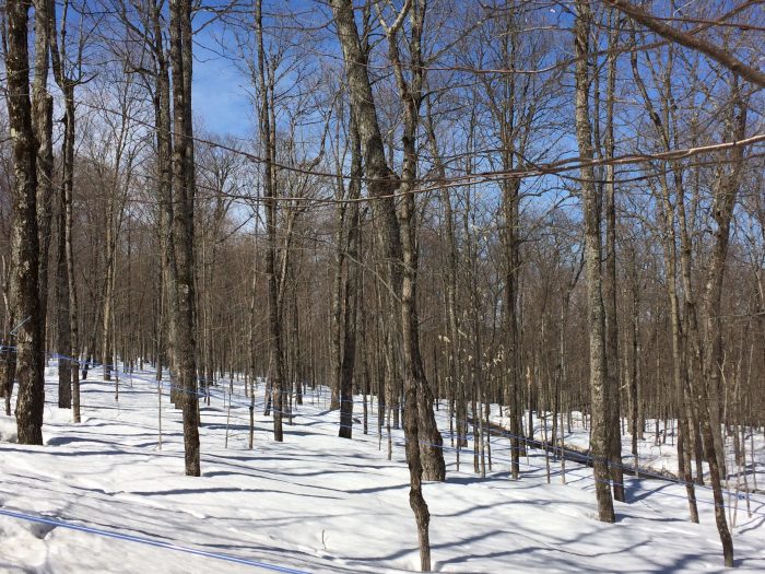 Sales representatives - CDL Maple Sugaring Equipment : Les équipements ...